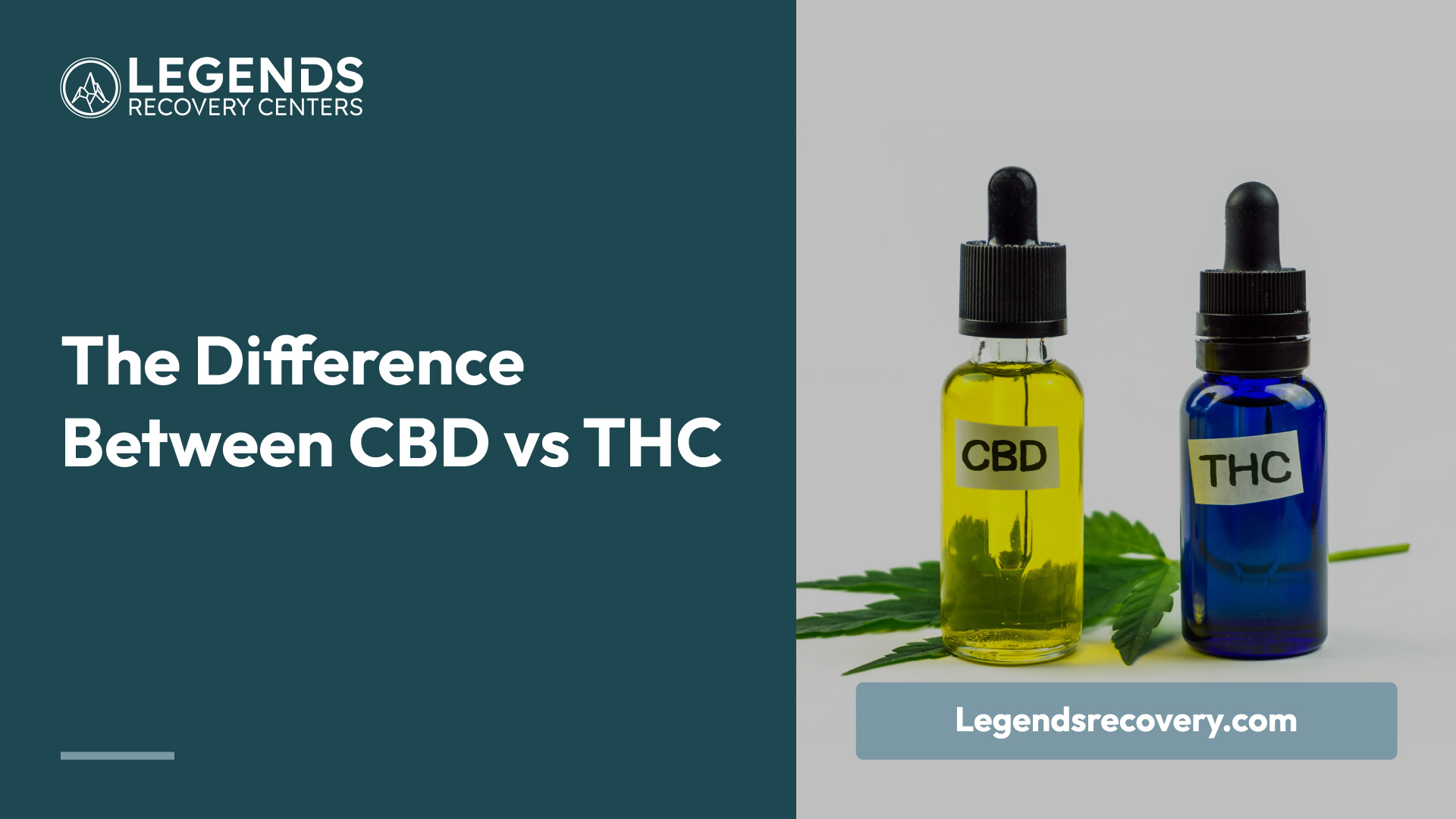 The Difference Between CBD vs THC The Difference Between CBD vs THC